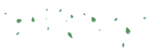 Caveau I Boston – 1 Center Plaza, Boston, MA